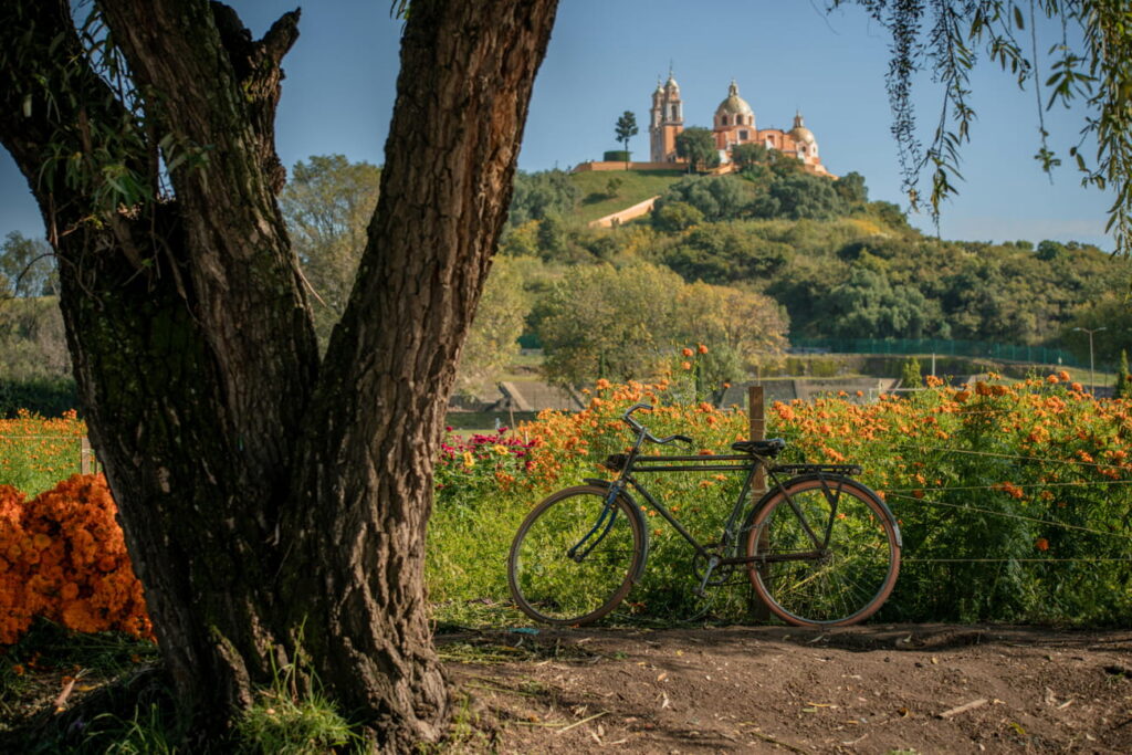 Provenza: the most famous in Medellín – Guía Turística de Medellín